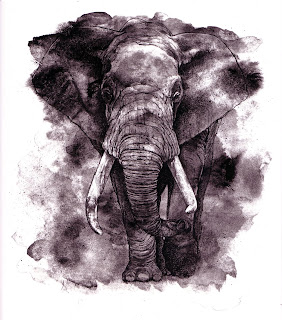 Andrew Wolf's Portfolio