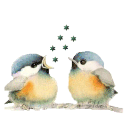 Beautiful Bird Extras