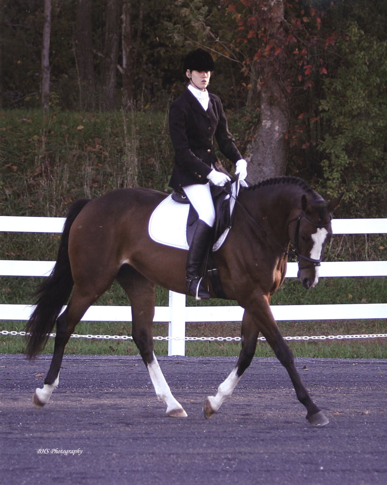 Ponies of the Heart ~ Your Horse and Pony Photos: Nancy and Leap of ...