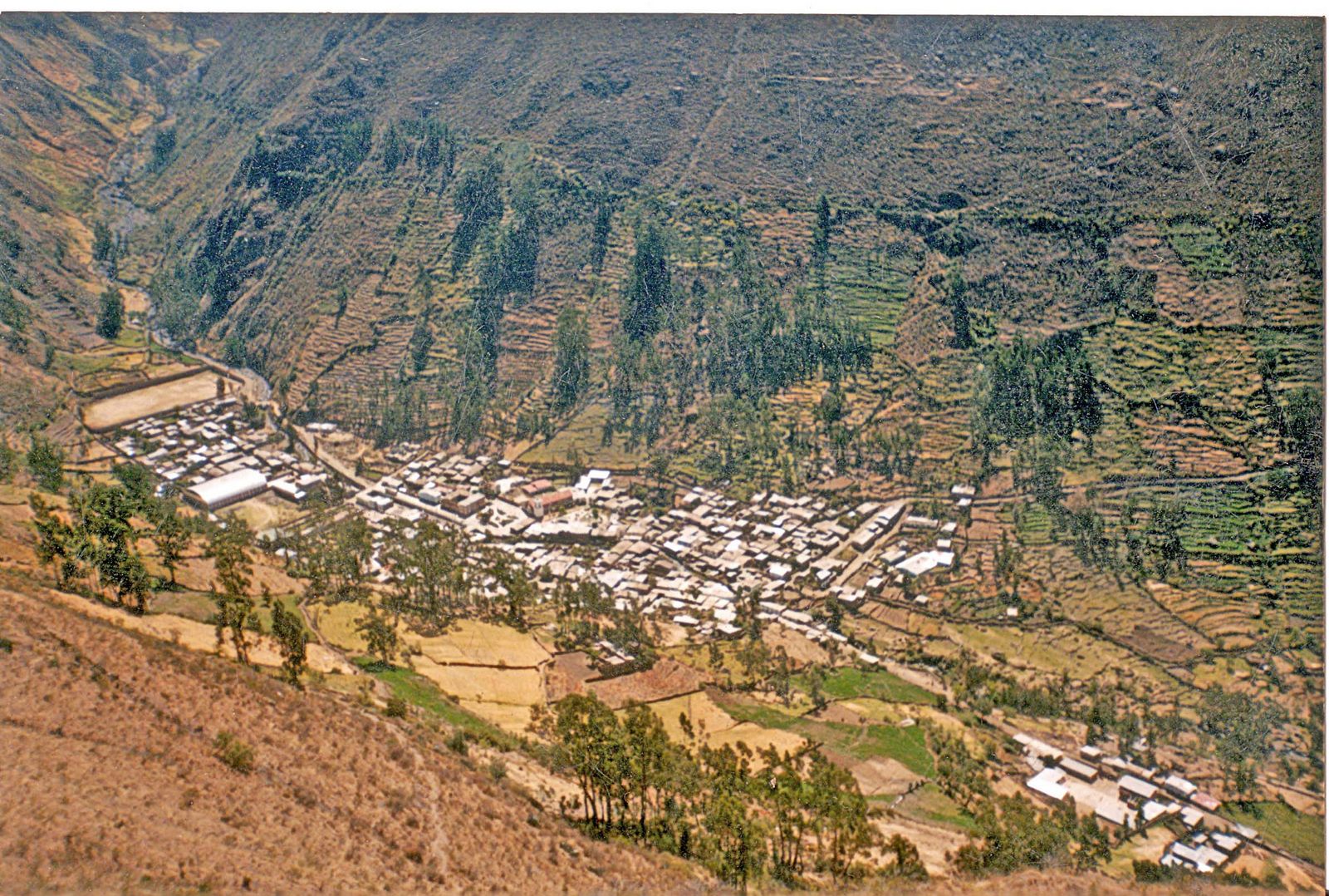 YAUYOS EN EL CORAZON DEL PERÚ: 2010-07-25