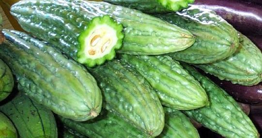 Pinoy - Negosyo - Techs: How to Farm Ampalaya (Momordica Charantia L.)