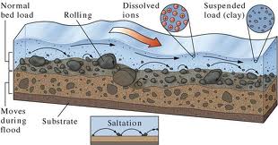 AULIA RINALDY BLOG: Transpor Sedimen