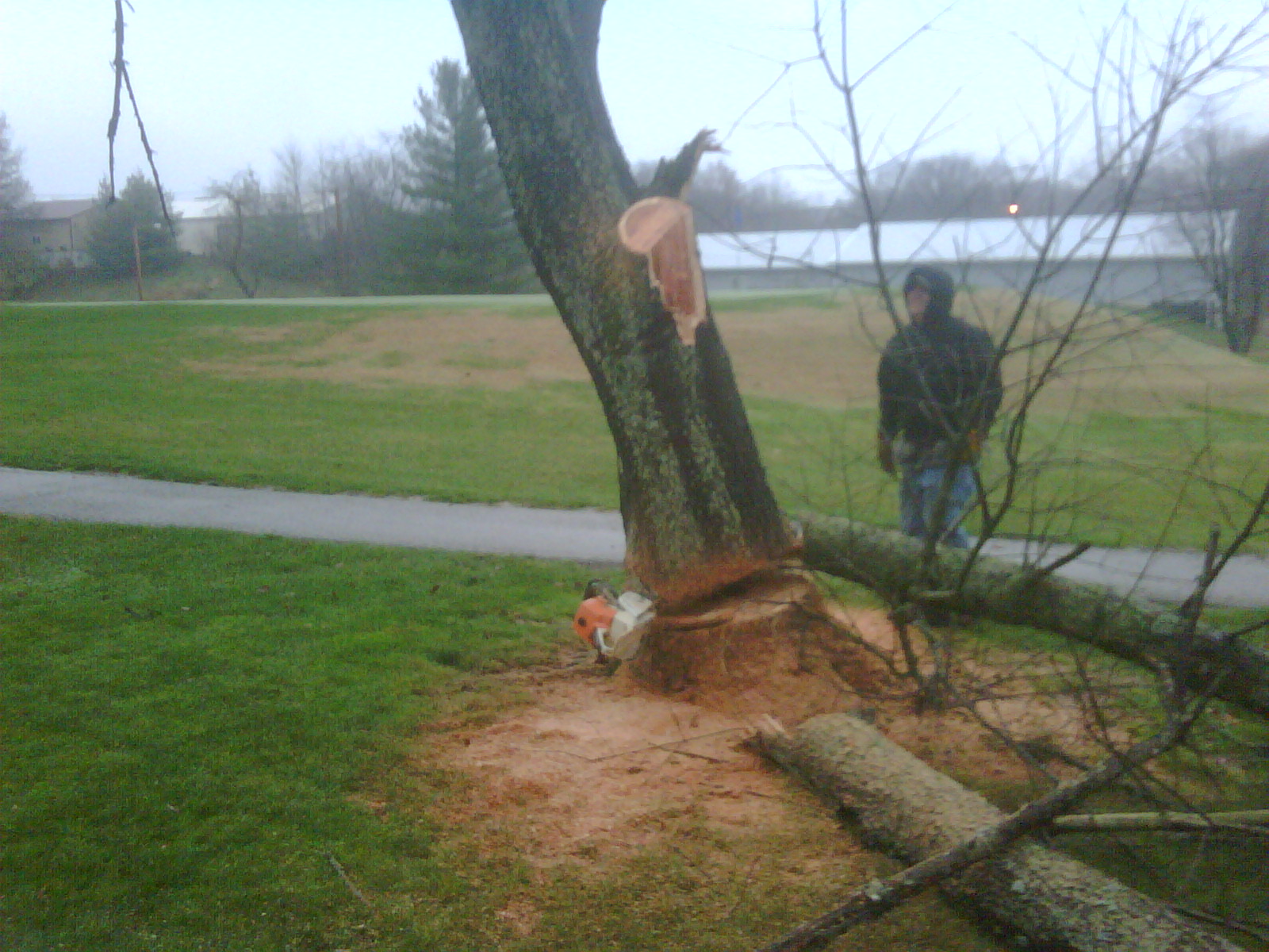 ROLLING HILLS GOLF COURSE: Winter Tree Removal