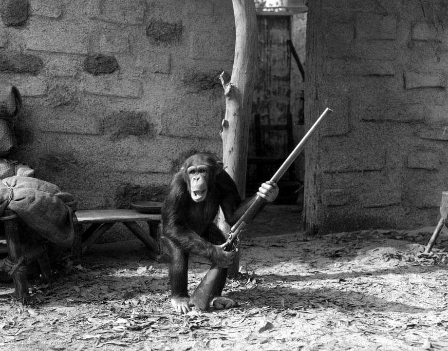 [TMP] "Has anyone done a scenario based on this?" Topic