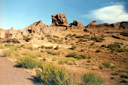 Noroeste Argentino: La Puna