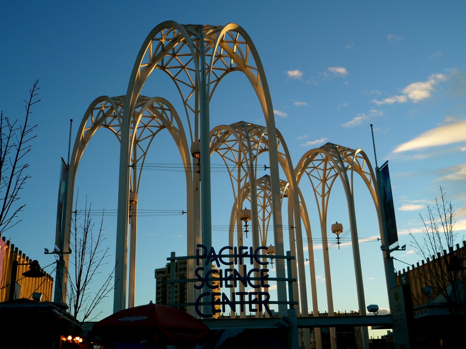 White Daisy Diaries: Seattle: Pacific Science Center.