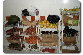 Gerencia de Alimentos y Bebidas: Bodega Fria