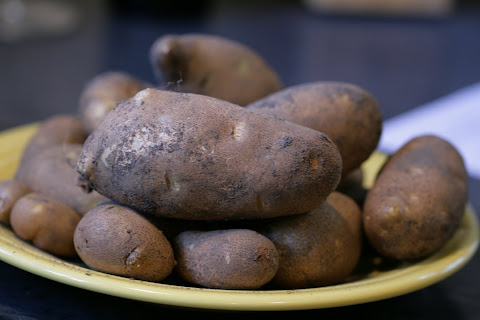 A Bluebonnet in Beantown: One potato, two potato, three potato, four...