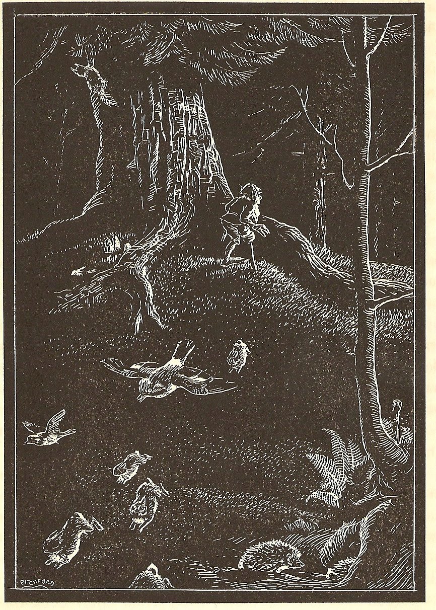 PowerOfBabel: Pictures From "The Little Grey Men"