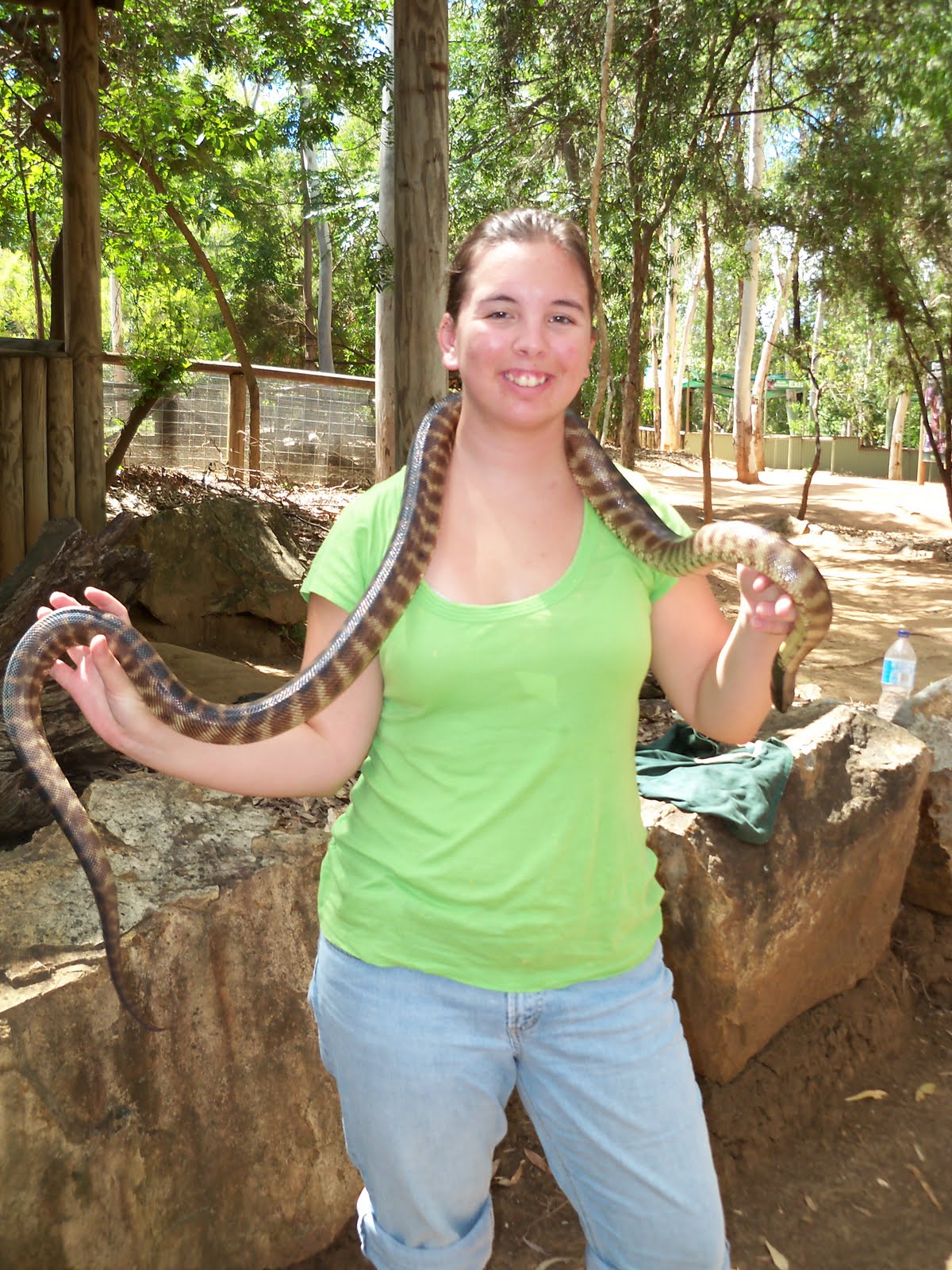 Semester in Australia: Pictures from Billabong Sanctuary