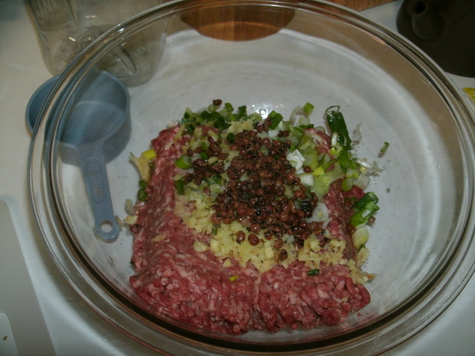 Drew's Food Blog: Niu Rou Xian Bing (pan fried chinese hamburgers ...
