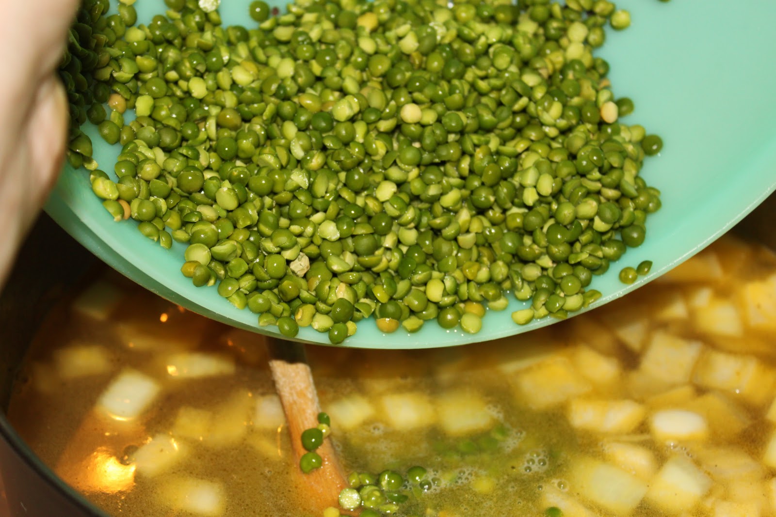 My Inner Granny: Lions and Tigers and Split Pea Soup! Oh My!