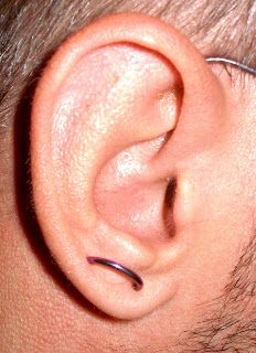 Industrial Strength Body Piercing Australia: Orbital Piercing By Rob. W.