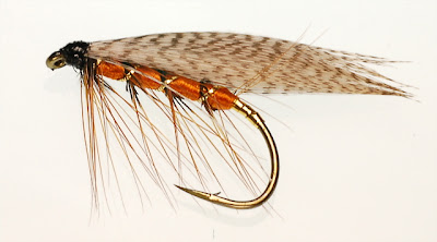 Fly Pattern Blog: Queen Of Waters