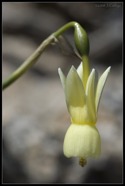 macroinstantes: abril 2008