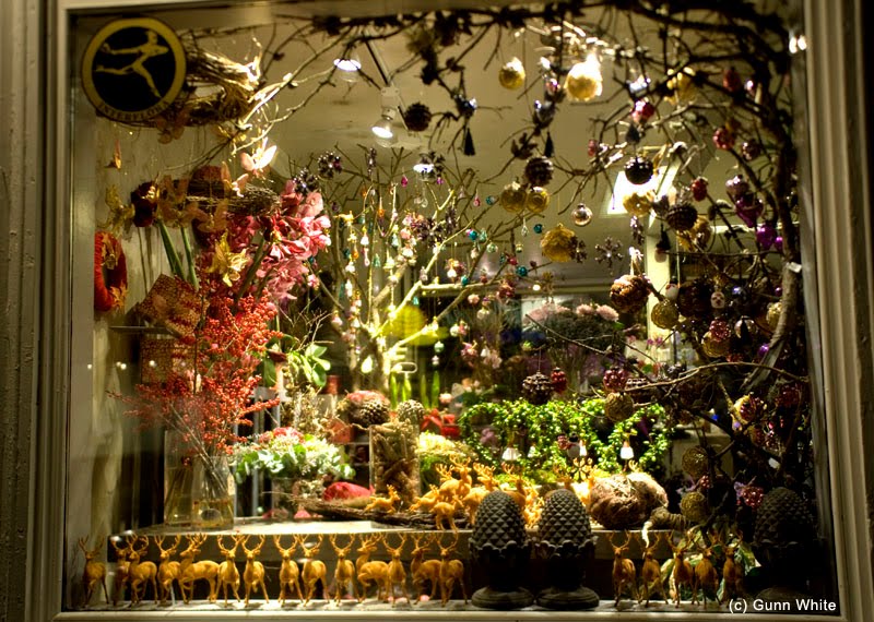 Stavanger Daily Photo