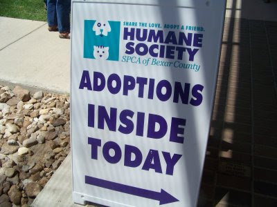 Walker Report - Shedding Light on Bexar County: Humane Society of SA to ...
