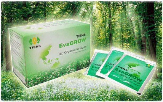 Memorial rifbuy webblog: EVA GROW TIENS