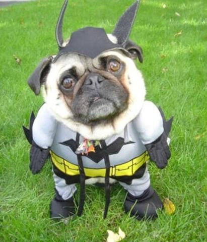 funny videos free: mais imagens comicas para se divertirem um pouco!!