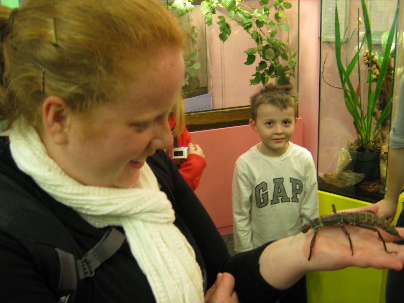 Stamps in my passport: Victoria Bug Zoo