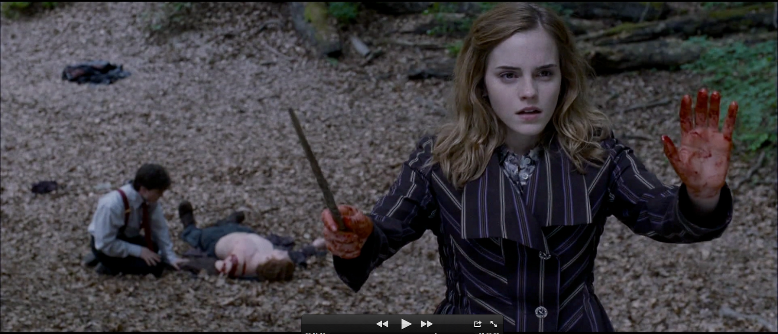 venom is blogging: Yet another HP post