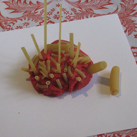 Rhyme Time: The Echidna and the Shade Tree