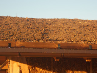 Mano namas: Zalias stogas (antra diena)