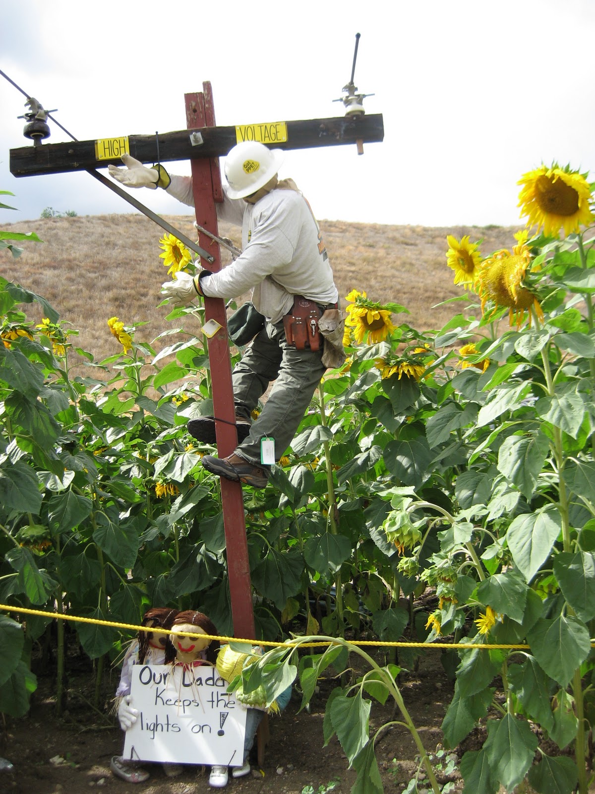 Michi's Mountain Life: Halloween/Fall Fun!