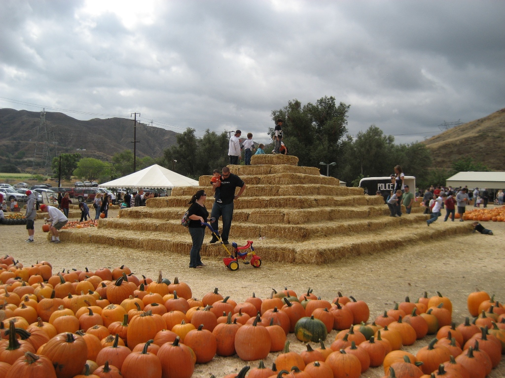 Michi's Mountain Life: Halloween/Fall Fun!
