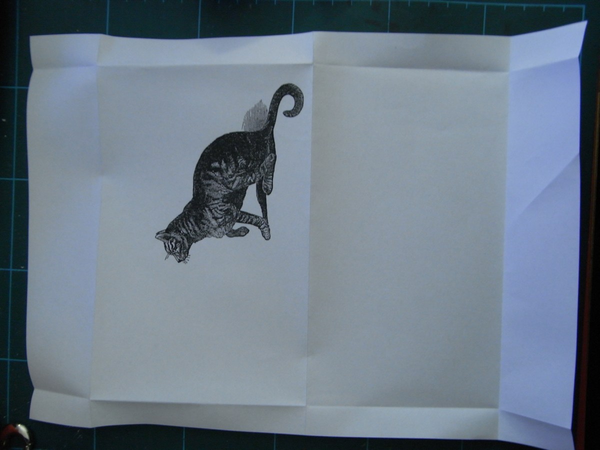 saraccino: Cat envelope