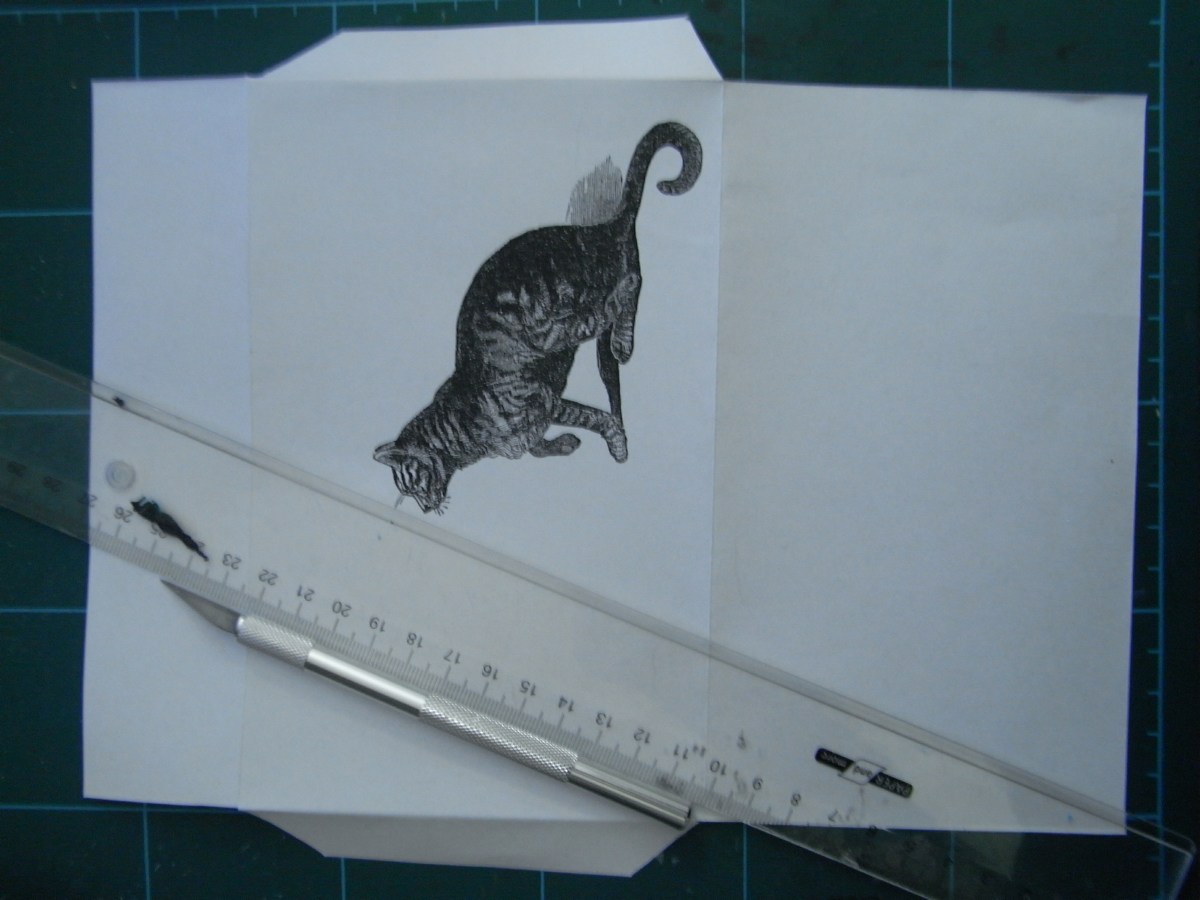 saraccino: Cat envelope