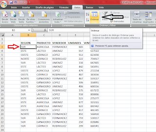 Microsoft Excel Básico: Uso de la Ficha Datos (Excel 2007) - Parte 1
