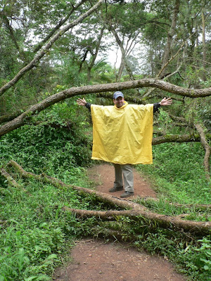 Allison in Africa: Ndura's Kitale Nature Conservancy