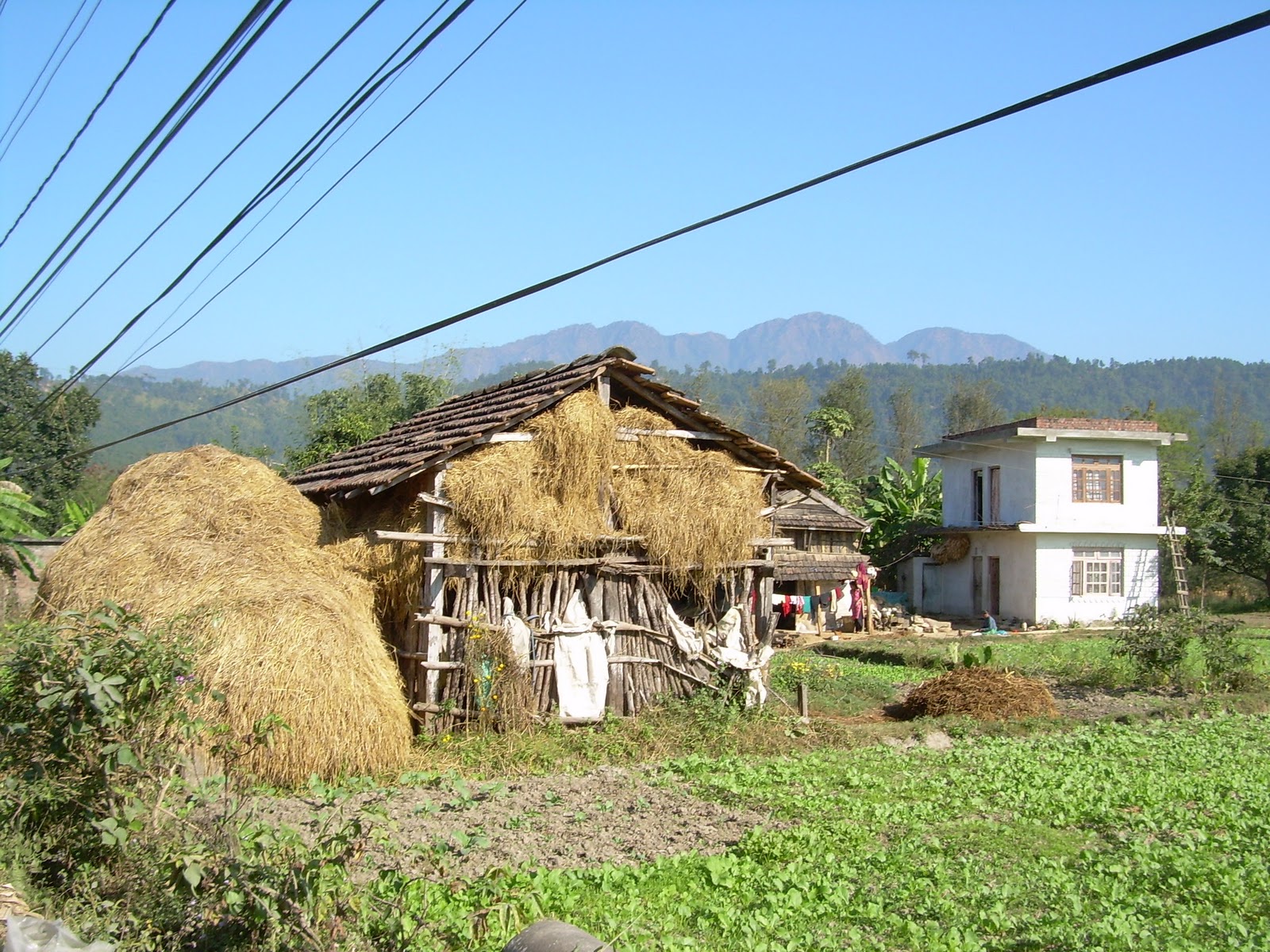 Cassie and Avi explore Planet Earth!: Our new life in the village