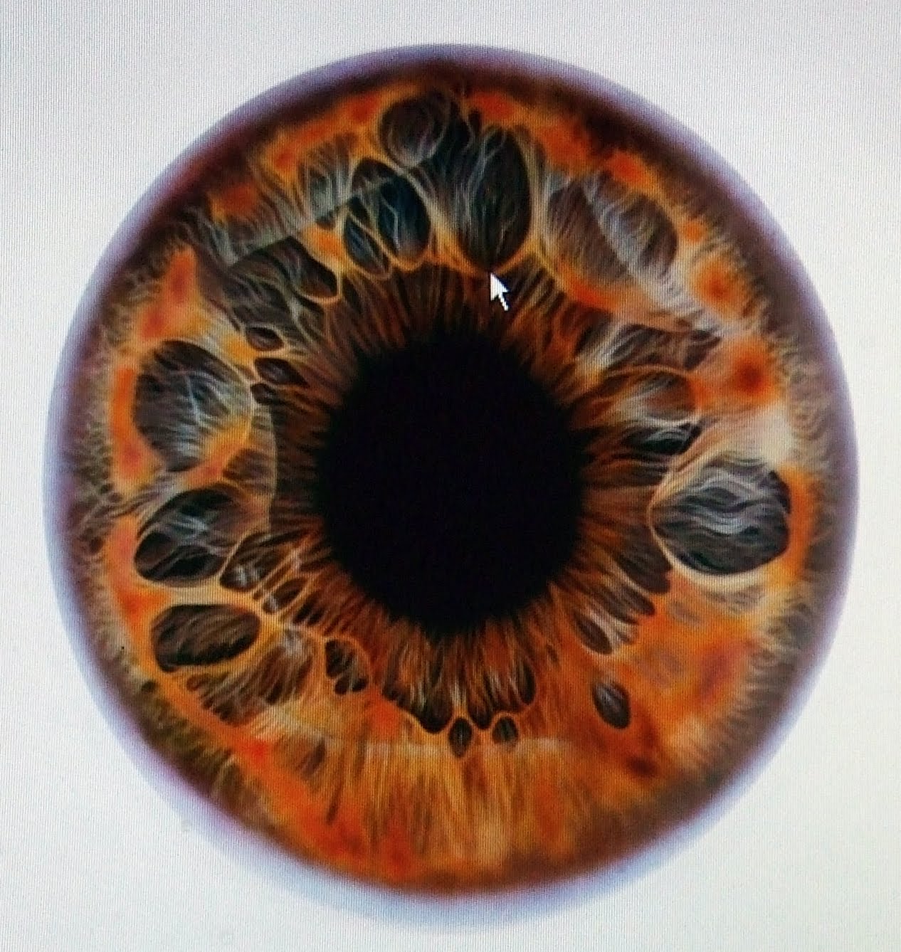 Carol Mackenzie Gale B.A. (Hons) M.A.: MARC QUINN