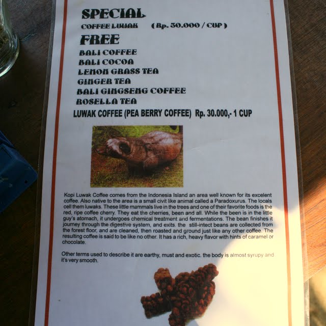 Cat poo coffee in Bali | food world, drink usa