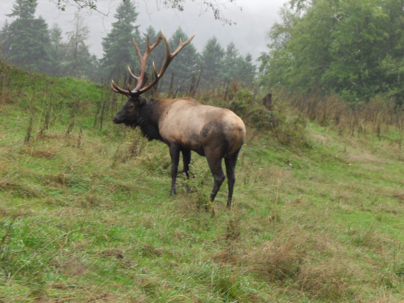 Nancy's Blog: Touring Seattle, Still