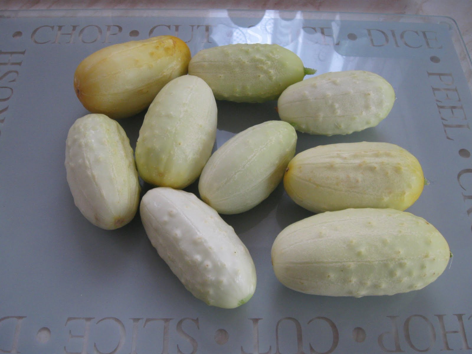 Paula's Kitchen: Pickled Cucumbers