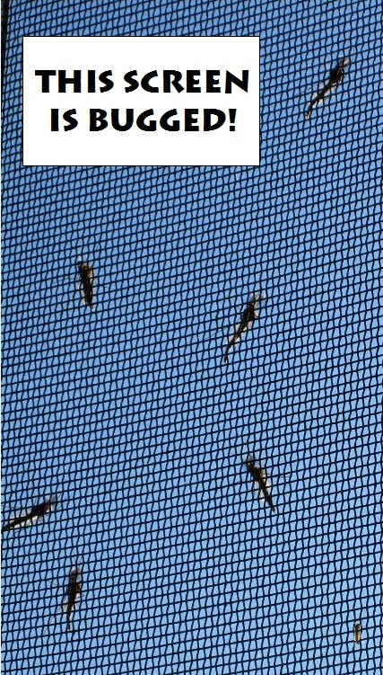 JEFF'S UNPOPPED KERNELS: HOW TO DE-BUG YOUR SCREEN