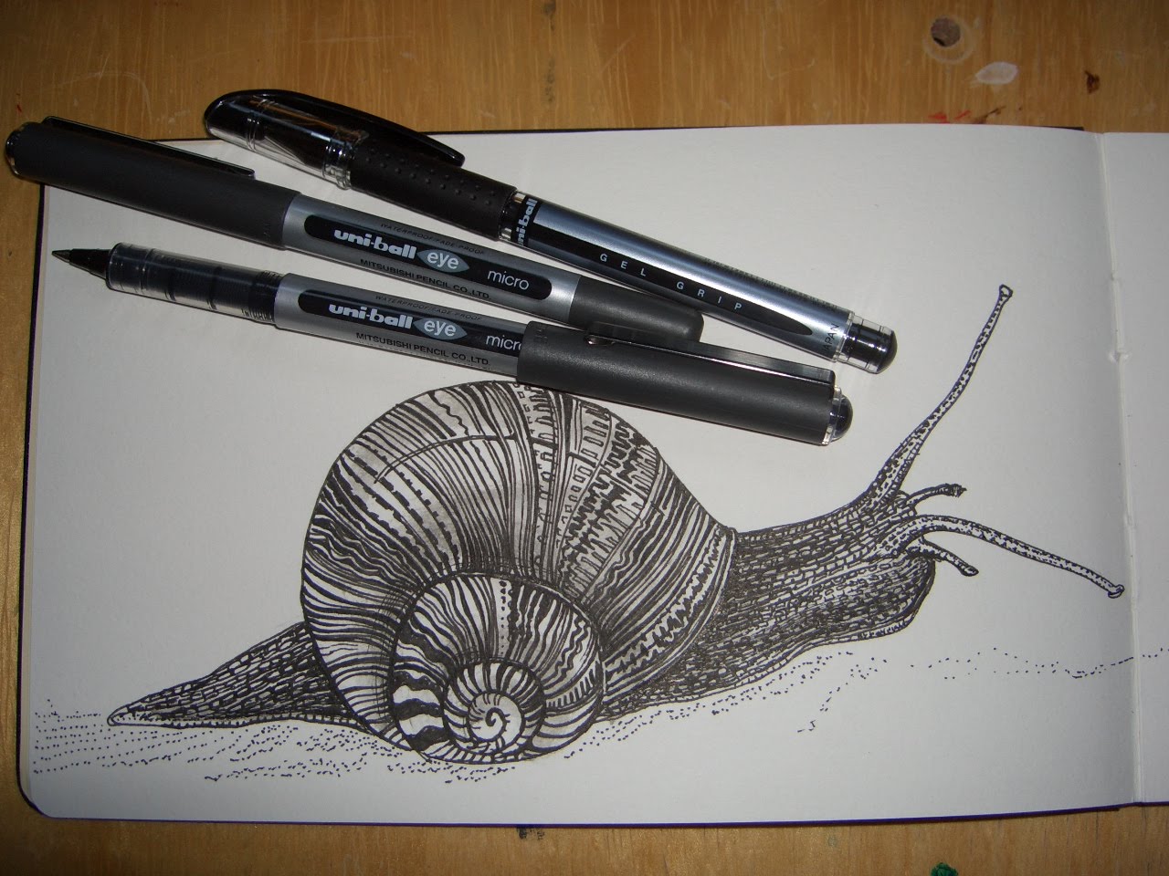 DRAWINGS FROM NATURE: Slow Pace