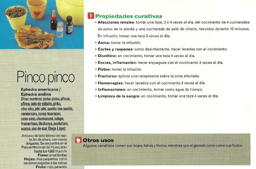 Botiquín Natural: Pinco pinco