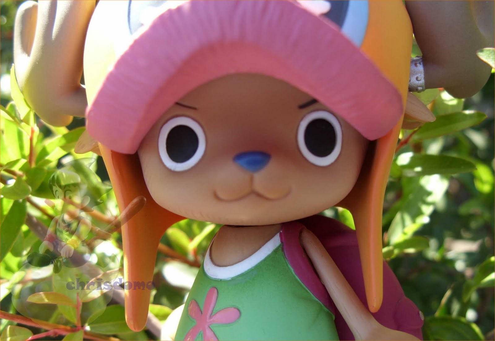 Chrisdomo: abril 2010