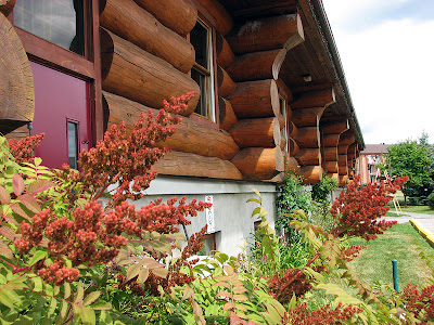 Zigzag de photos: Cabane en bois rond