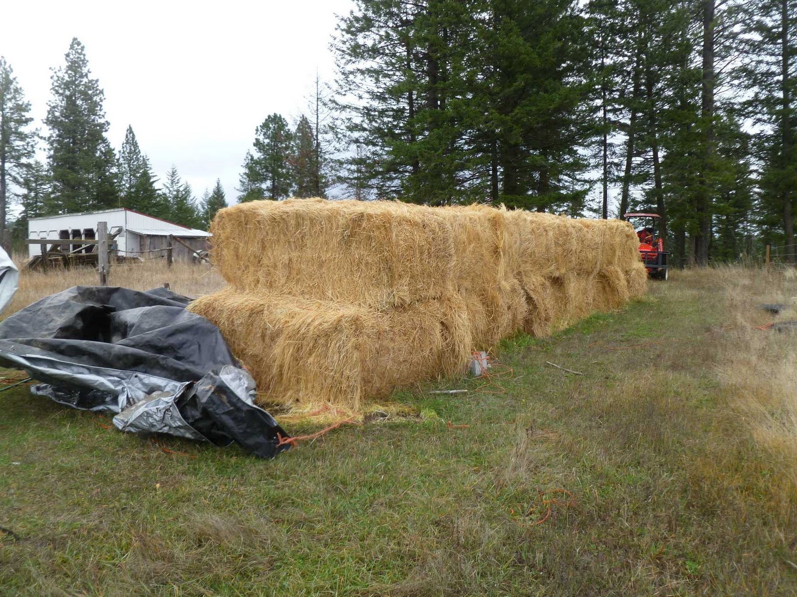Rural Revolution: Stacking hay