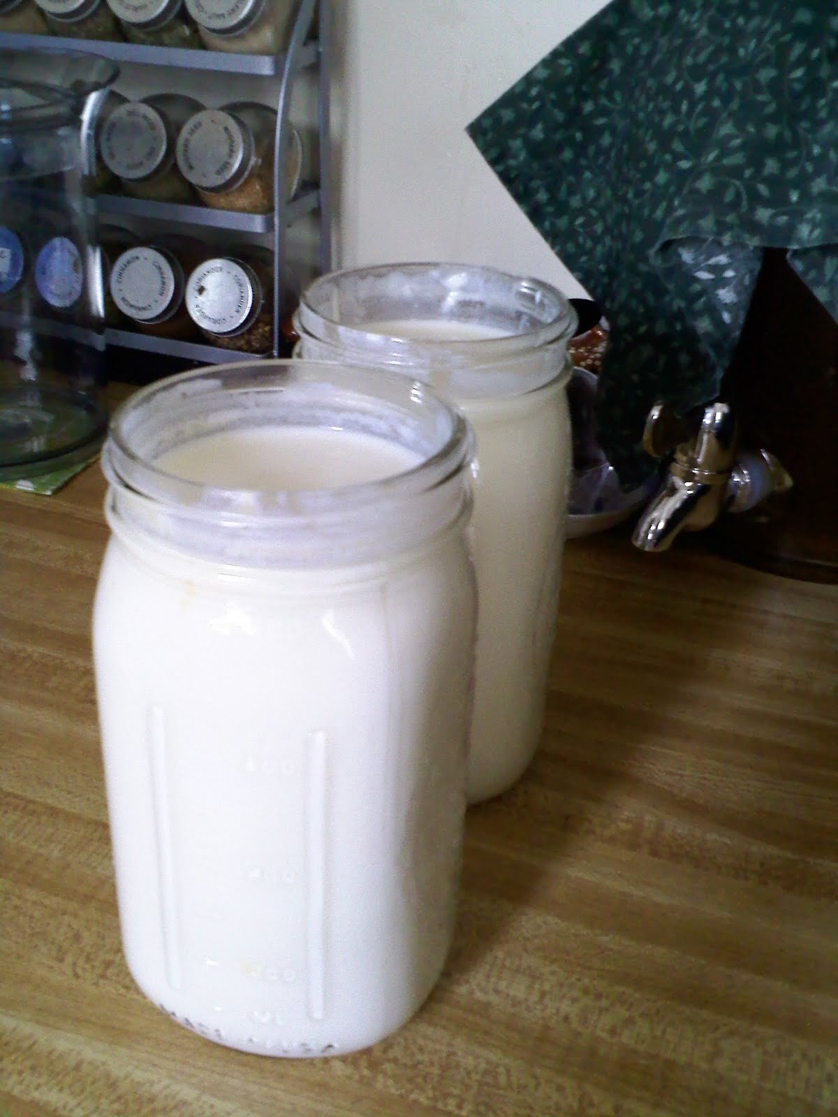 The Healthy Family Chronicles: Raw milk yogurt update