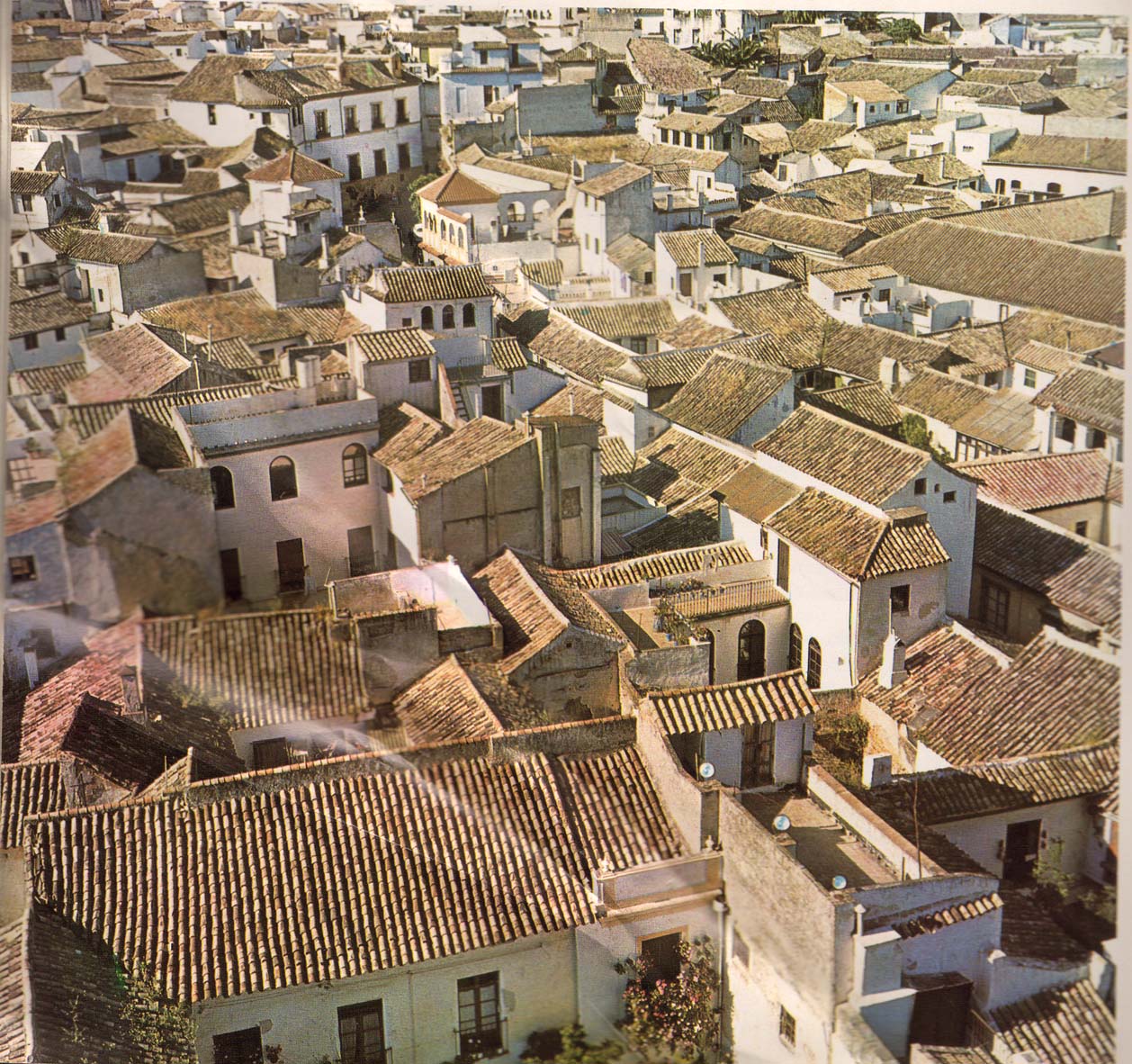 Referensi Agama: DINASTI IDRISIYAH