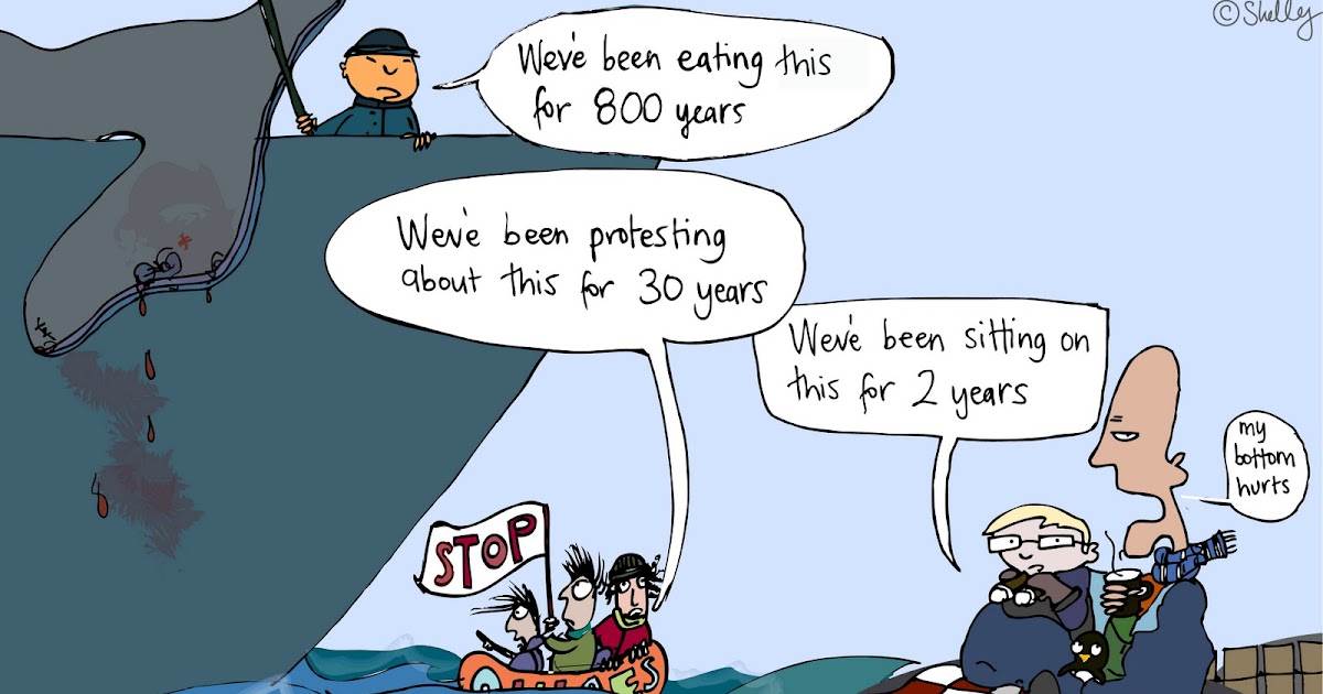 Shelley cartoons: Cartoons that never make it.