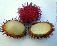 TODA FRUTA: RAMBUTÃO