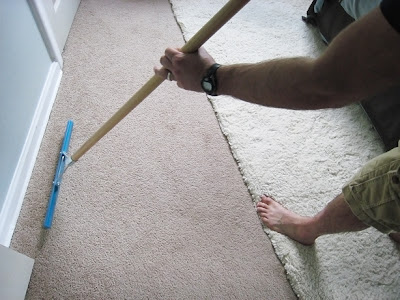 This Fresh Fossil: Home Maintenance: Carpet Rakes