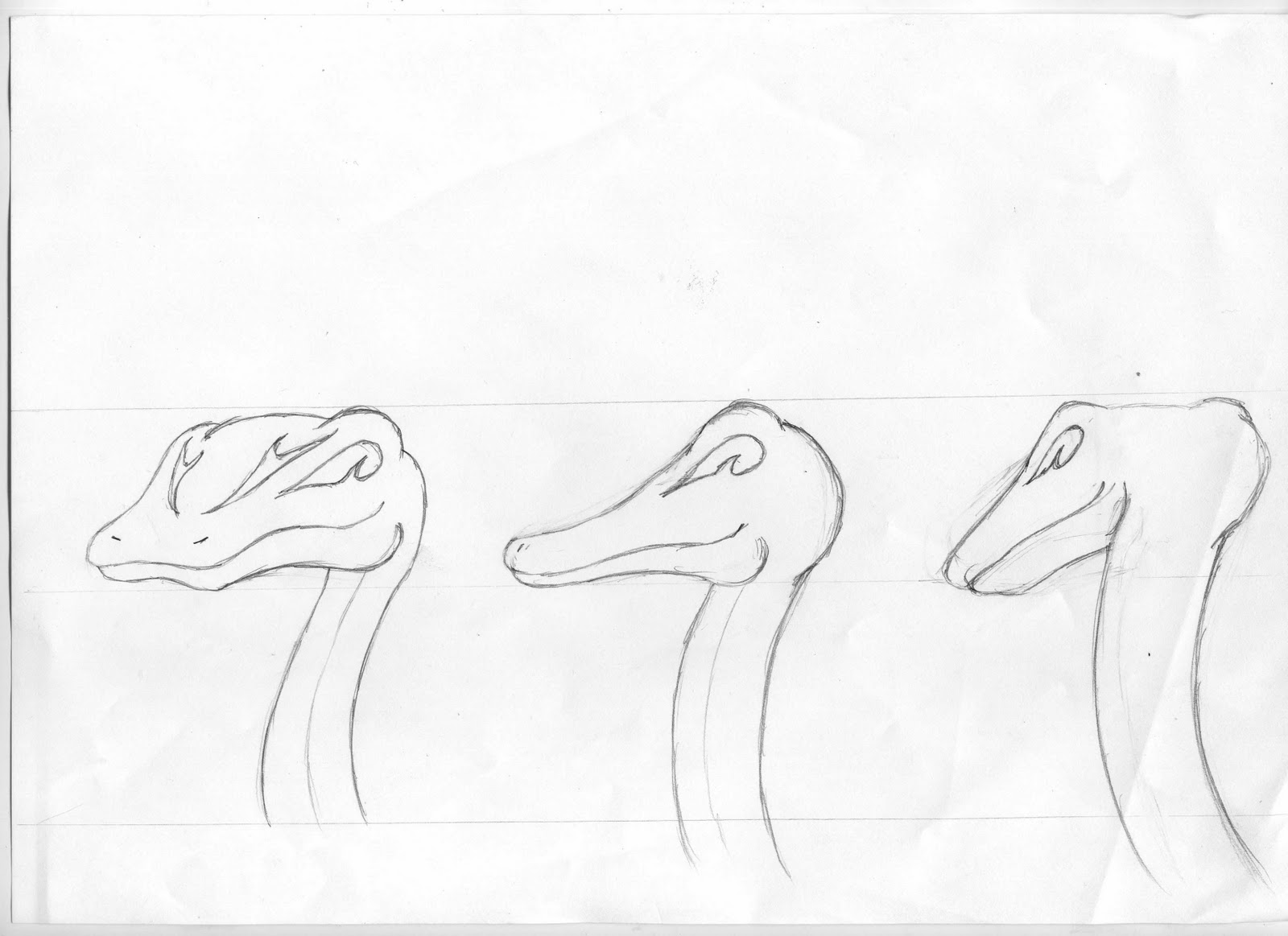 Turtle Style: Model Sheets; Viper